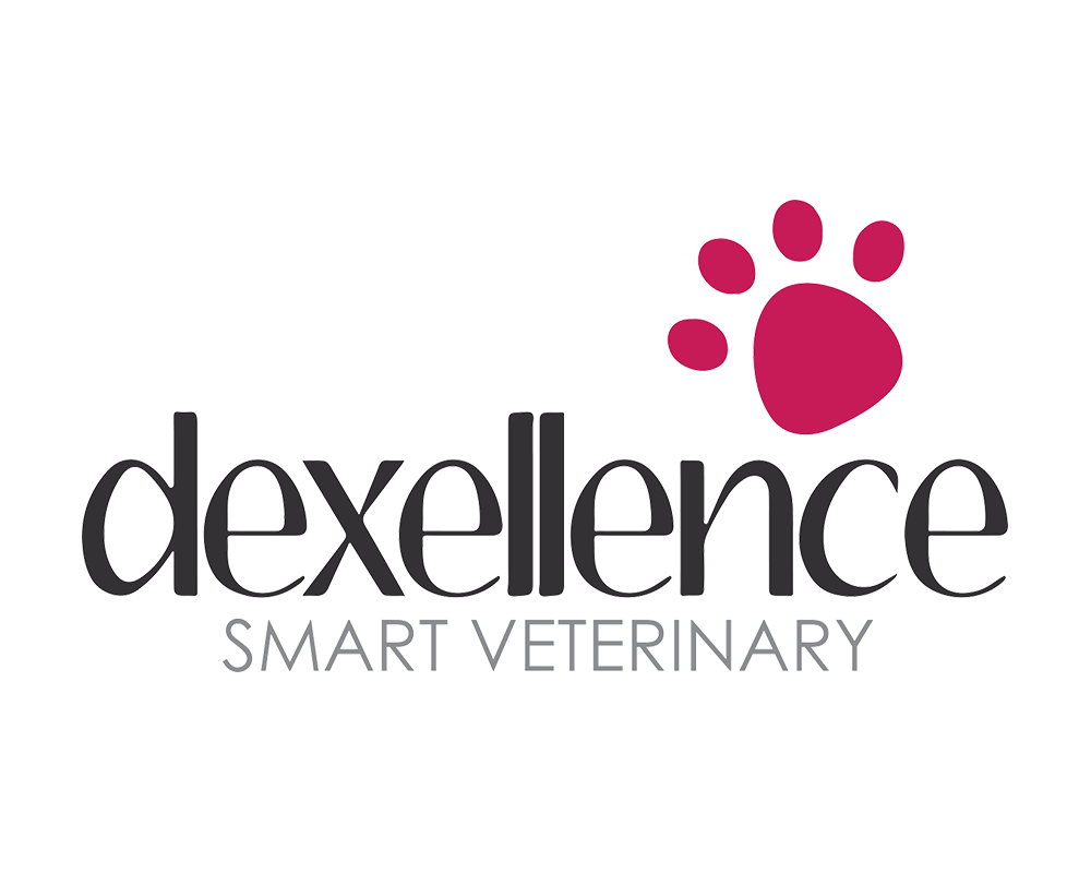 Dexellence Smart Veterinary - Echipamente cabinete veterinare